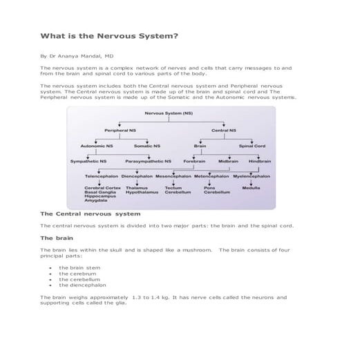 Introduction to nervous system | PPT