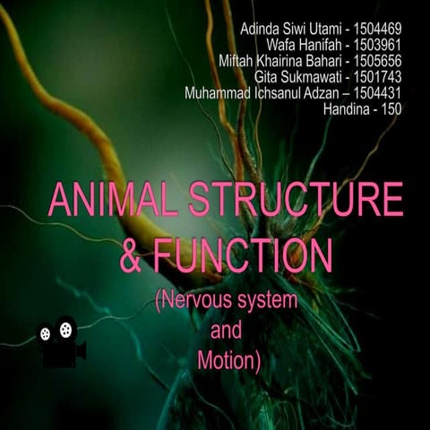 Nervous system | PPT