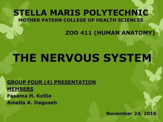 Introduction to the nervous system | PPT