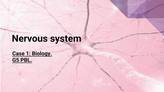 Introduction to the nervous system | PPT