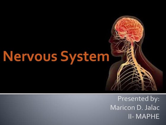 PPT on Nervous System | PPT