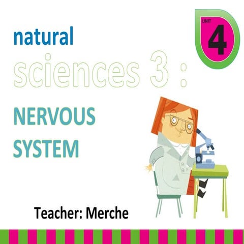Nervous system | PPT