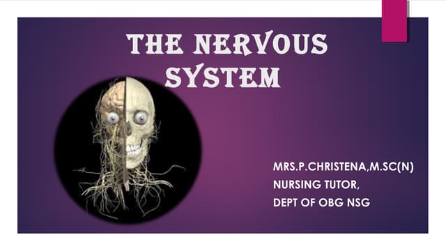 The Nervous System Grade 6, parts and functions | PPT