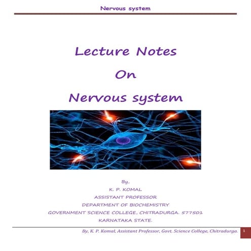 Nervous system | PDF