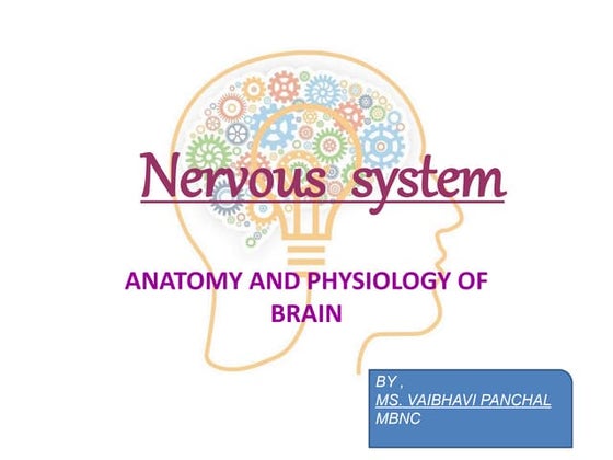 Nervous system part 2 | PPT