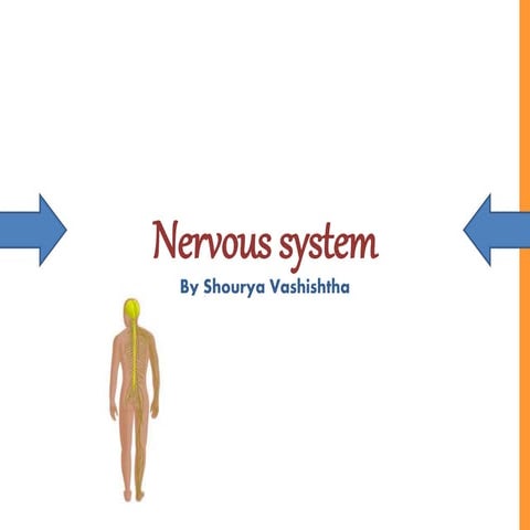 Nervous System Pptx-muhadharaty Nervous System PowerPoint Template