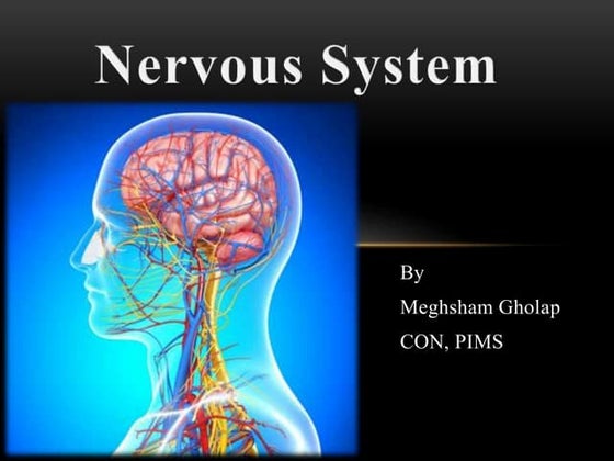Introduction to the nervous system | PPT