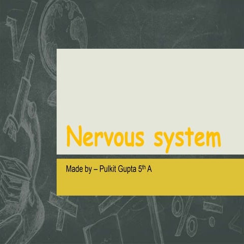 Unit 4 the nervous system | PPTX