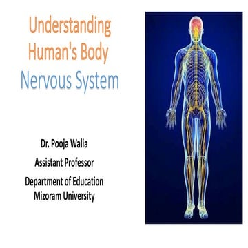 Nervous system | PPT