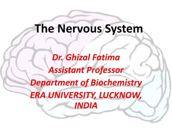 Nervous system - Class V | PPTX