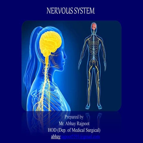 Nervous System Pptx-muhadharaty Nervous System PowerPoint Template