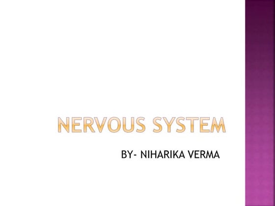 Nervous system of fish; a detailed study | PPT