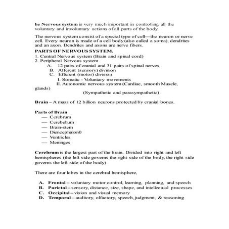 Nervous system | DOCX