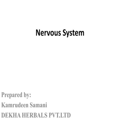 Nervous system | PPT