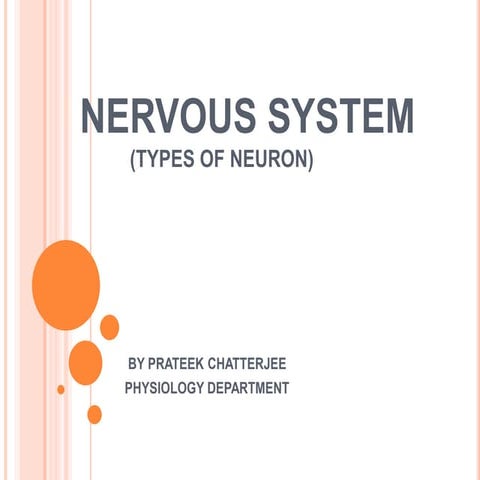 Nervous system | PPT