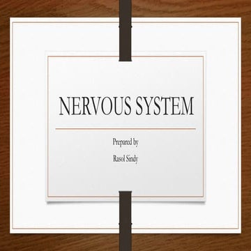 nervous system.pptx