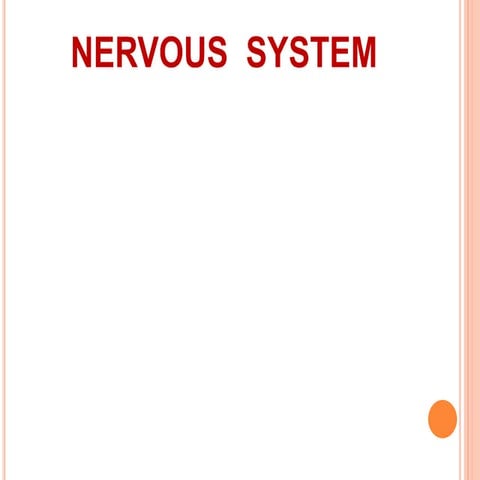 PPT on Nervous System | PPTX