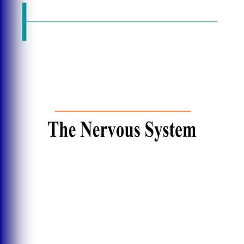 Nervous System.ppt