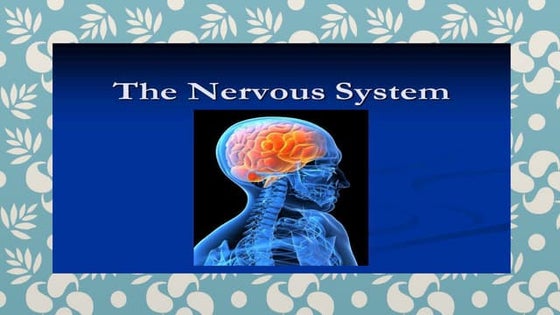 science 10 quarter 3 nervous system presentation | PPT