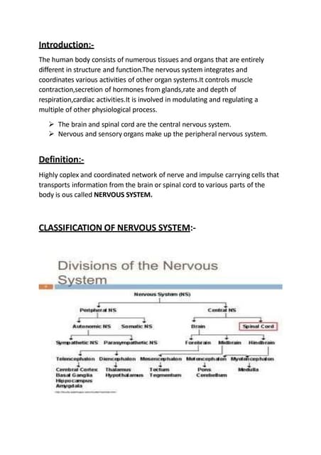 Nervous system of the frog (1) | PPTX | Brain and Nervous System Disorders | Diseases and Conditions