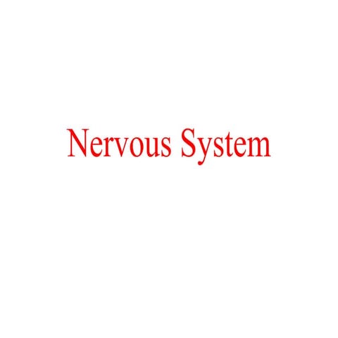 Nervous System.pptx