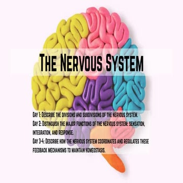 Nervous System Parts and Functions Grade 10 Science.pptx