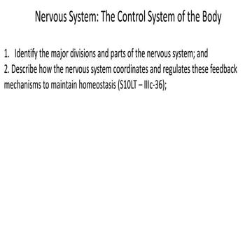 NERVOUS SYSTEM.pptx tdtffykgygigguiggugiug | PPTX