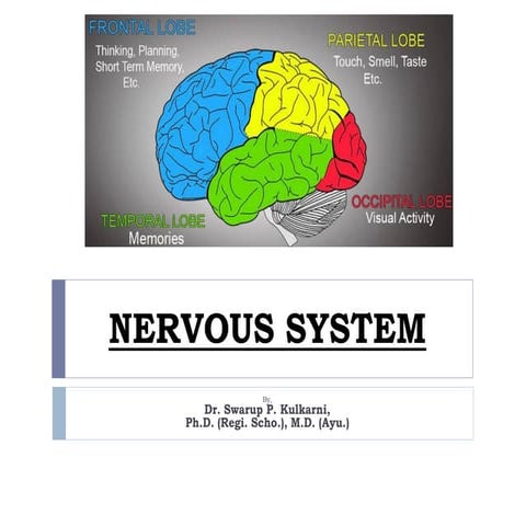 NERVOUS SYSTEM.PPT for medical study purpose | PDF