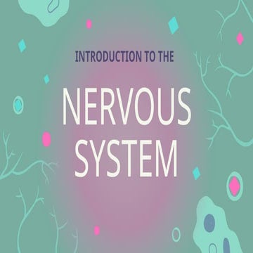 parts and functions of the nervous system | PPTX