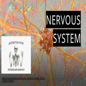 NERVOUS SYSTEM 6th grade ESL Biology and Body Systems.pptx