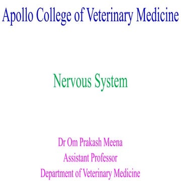 Nervous System affections in veterinary medicine.pptx