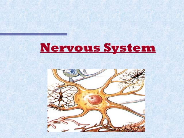 Structure and function of neuron | PPTX