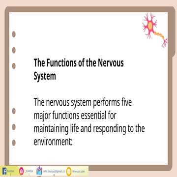 this lesson talks about nervous system and neurons (nervous system).pptx