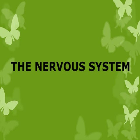 nervoussystem-CLASS with classification of nervous system | PPTX