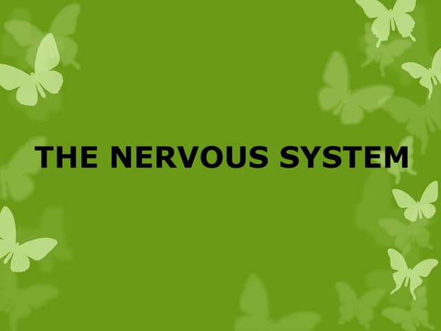 Introduction to the nervous system | PPTX