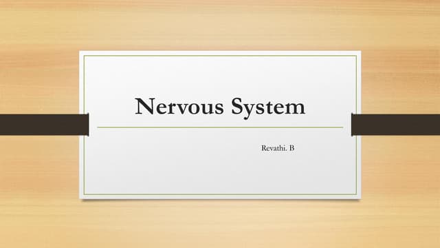 The Nervous System Grade 6, parts and functions | PPT