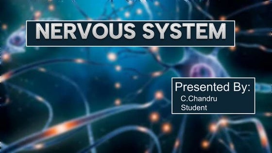 introduction to nervous system.ppt