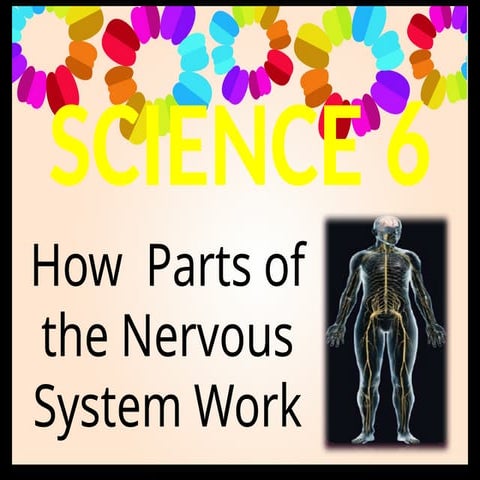 LESSON IN SCIENCE 6-NERVOUS SYSTEM-LESSON.pptx