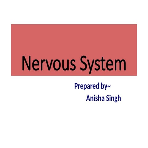 Nervous System Anatomy And Physiology Anisha Singh | PPTX