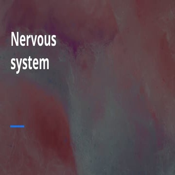 Human nervous system controls and coordination part 1 | PPTX