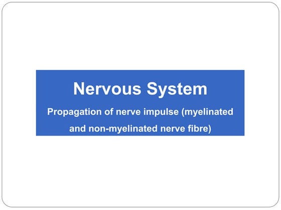 Propagation of nerve impulses | PPTX | Computer Networking | Computing