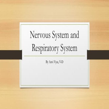 Nervous System and Respiratory System.pptx