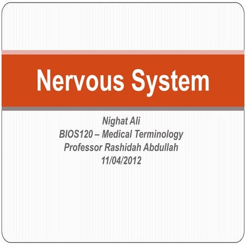 Nervous system chapter 12 | PPTX