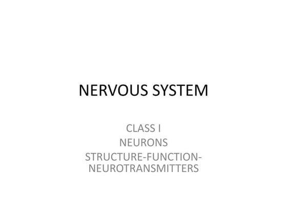 NERVOUS SYSTEM class 3.pptx