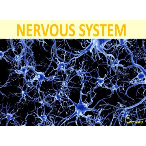 NERVOUS SYSTEM - grade 10.pptx