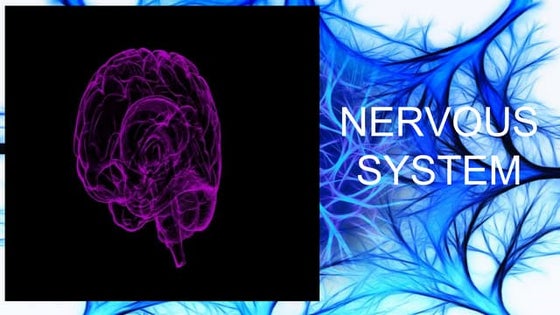 Five senses | PPTX