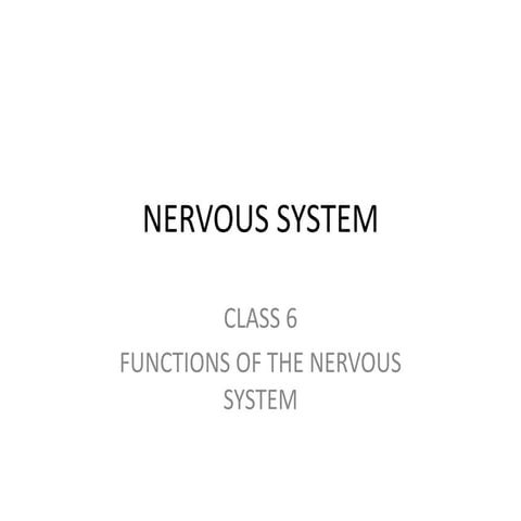 NERVOUS SYSTEM CLASS 6.pptx