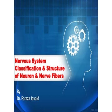 NERVOUS SYSTEM, CLASSIFICATION & STRUCTURE OF NEURON & NERVE FIBERS.pptx