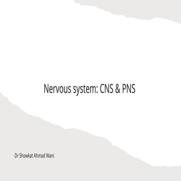 Nervous system of fish; a detailed study | PPTX