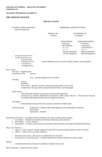 Musculo Skeletal Handouts | PDF | Bone and Joint Conditions | Diseases ...